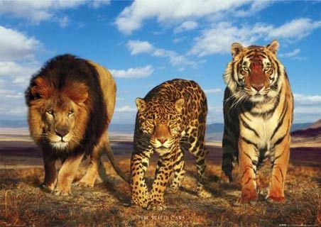 The World’s Most Dangerous Game To Hunt | HUNTERcourse.com